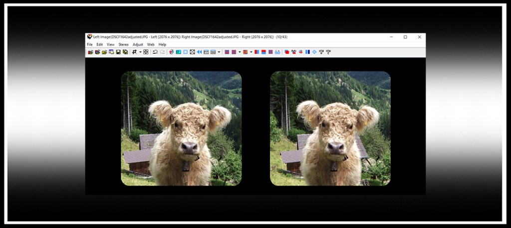 How to Use Stereo Photo Maker: Basic Tutorial – The Stereoscopy Blog