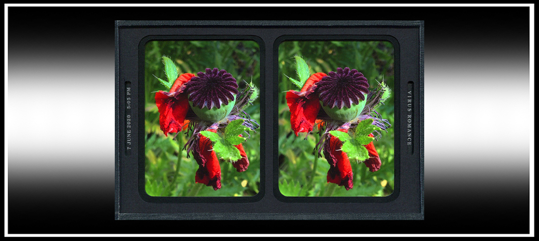 The Art of Stereoscopy – The Stereoscopy Blog