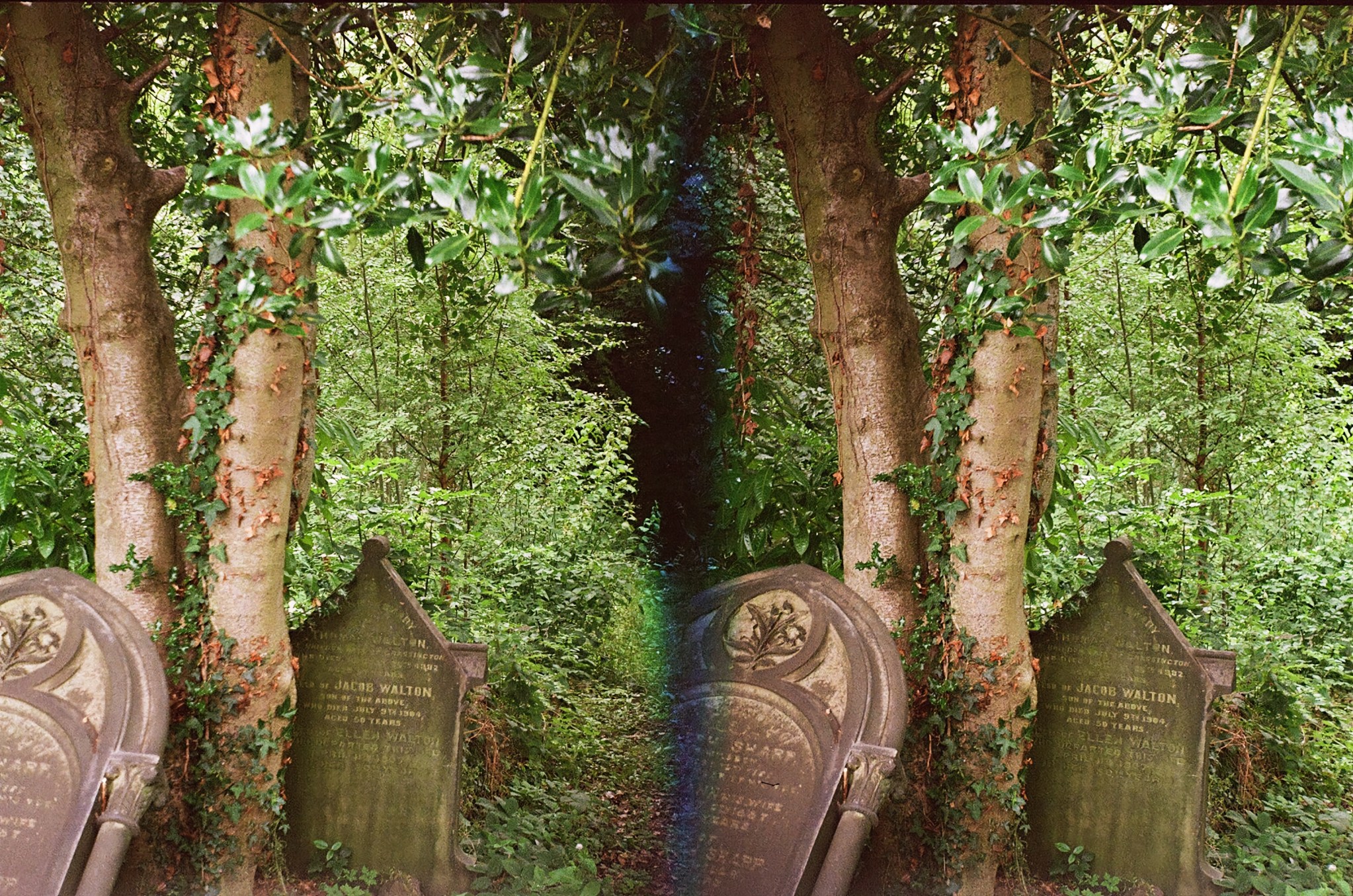 Stereoscopic (3D) Photography with a Single Lens – The Stereoscopy Blog