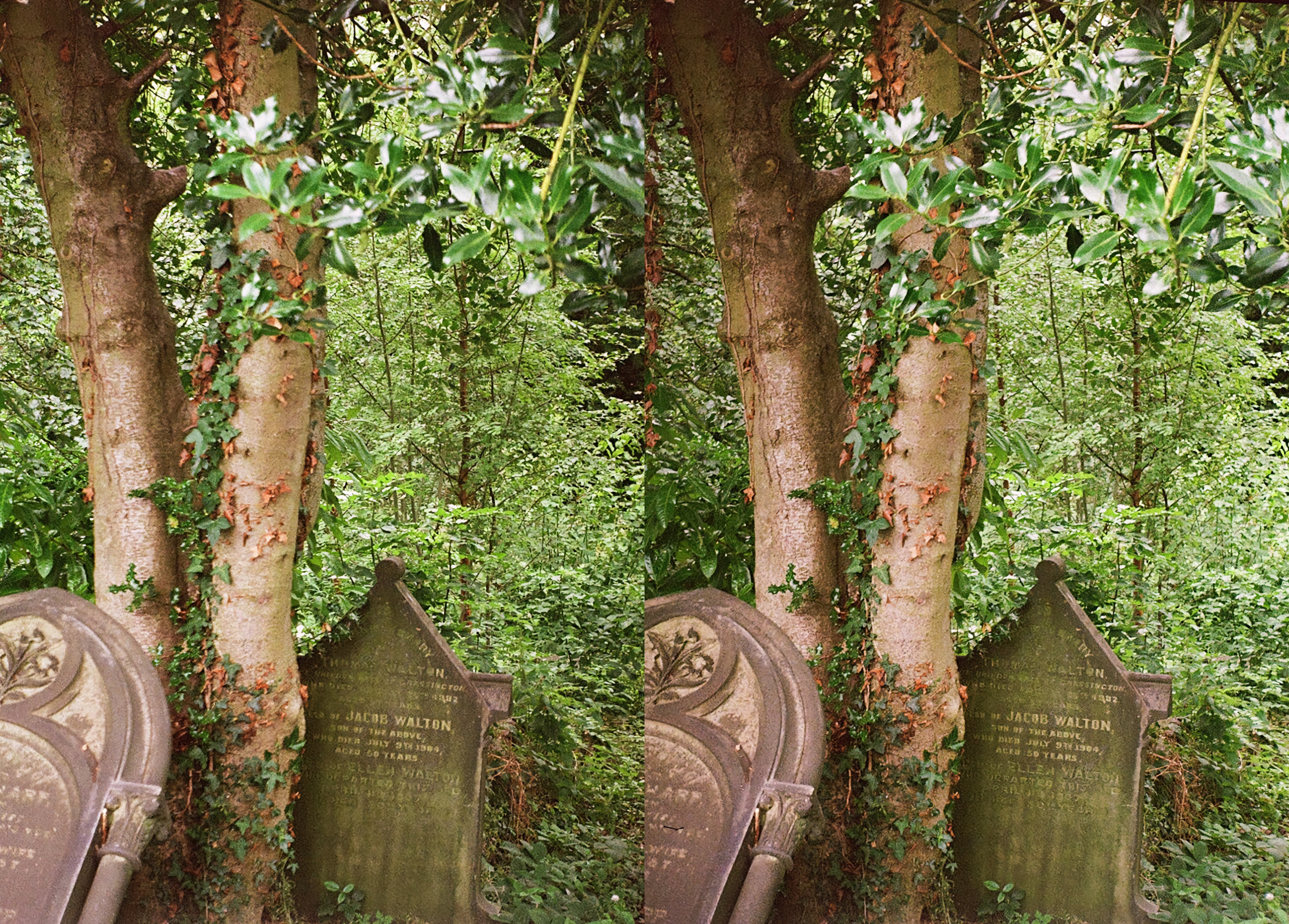Stereoscopic (3D) Photography with a Single Lens – The Stereoscopy Blog