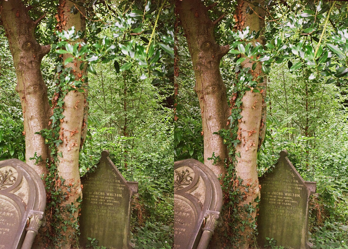 Stereoscopic (3D) Photography with a Single Lens – The Stereoscopy Blog